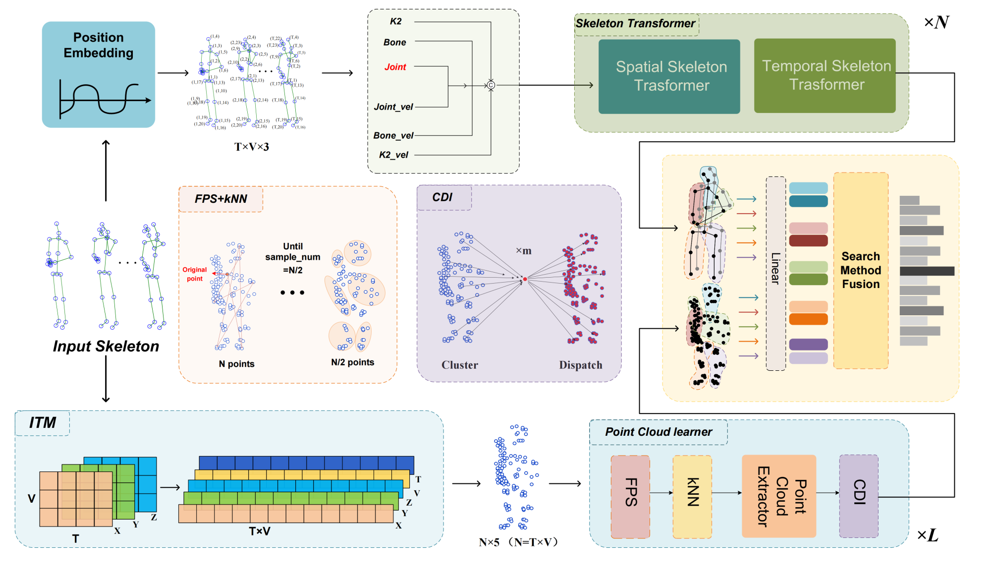 Skeleton2Point: Recognizing Skeleton-Based Actions as Point Clouds